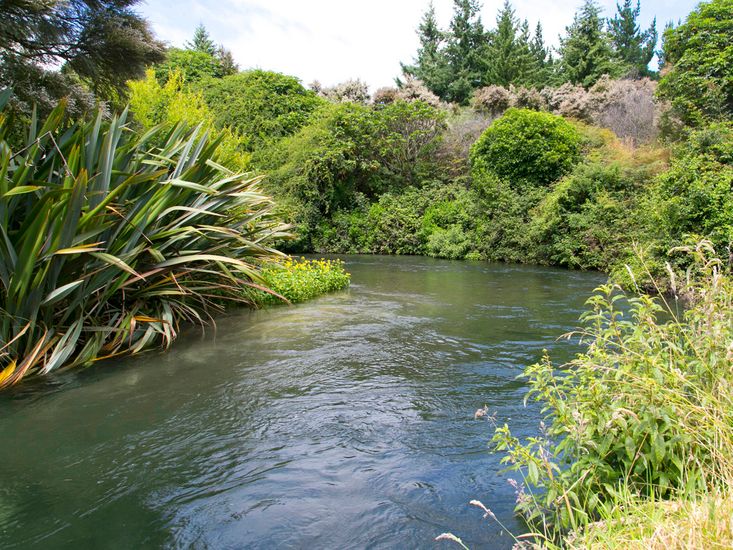 Bellbird Cottage - Lake Taupo Bach - Bachcare NZ