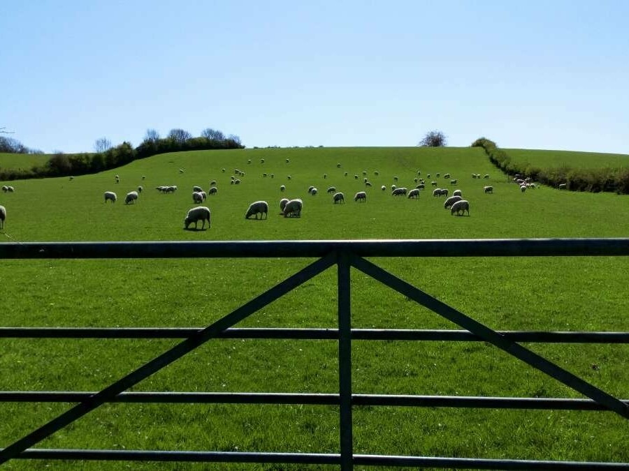 Newhouse Farm (Private Land) - Holiday Accommodation 12437 - Lancashire