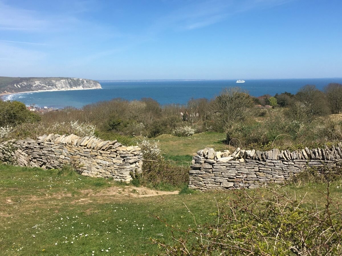Swanage Bay View - Holiday Accommodation 15464 - Swanage