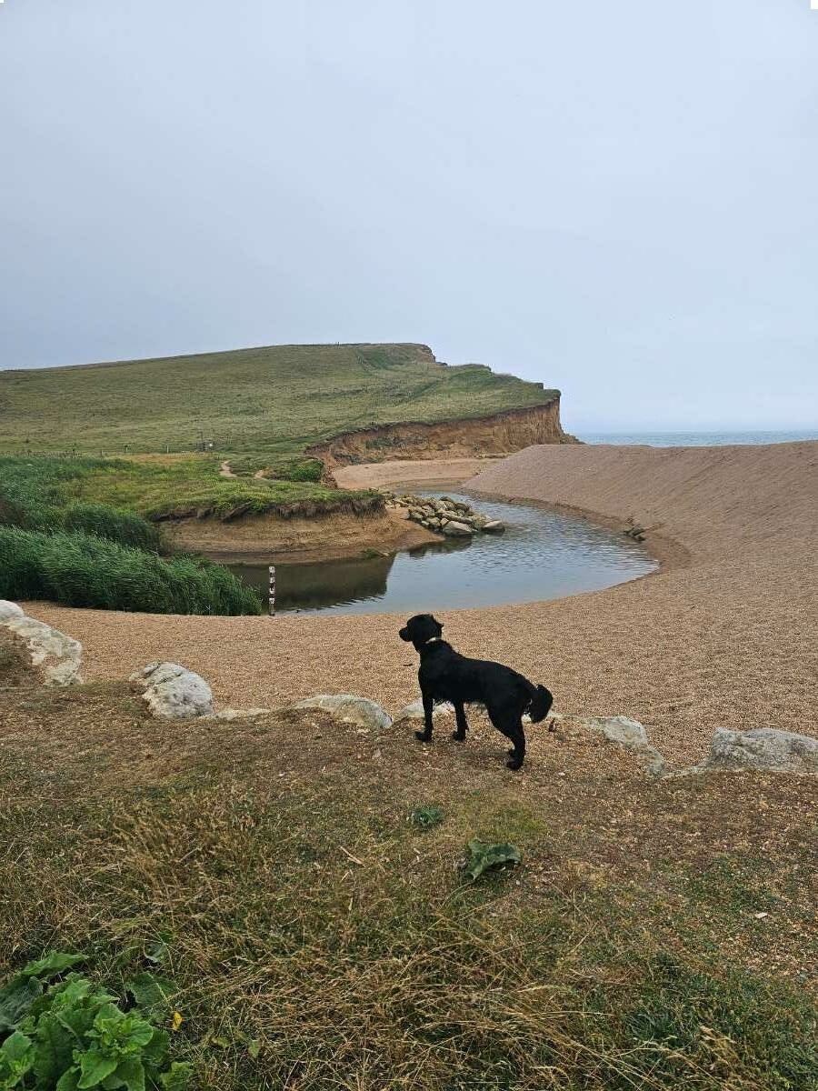 Freshwater Beach Holiday Park - Holiday Accommodation 22163 - Burton Bradstock