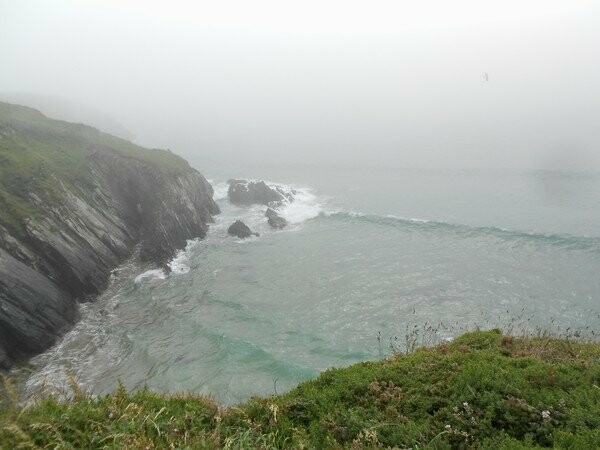 Nine Wells Caravan Park - Holiday Accommodation 6373 - Solva