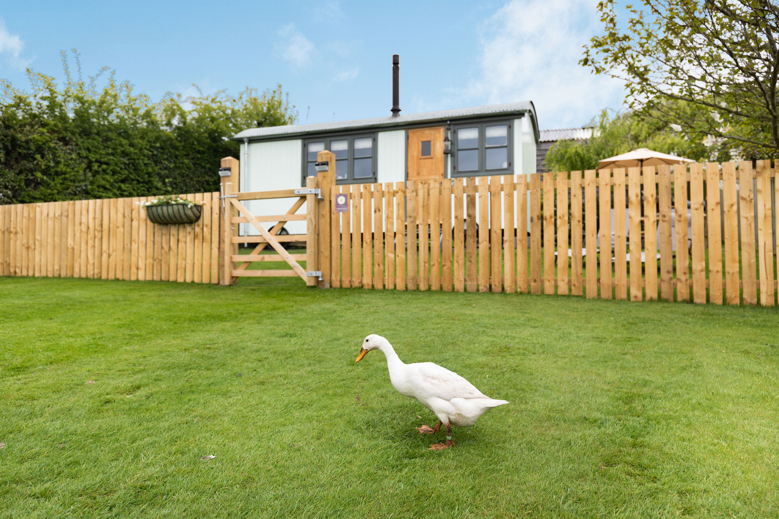 The Brae, Romantic, Character Holiday Cottage In Snainton - Yorkshire