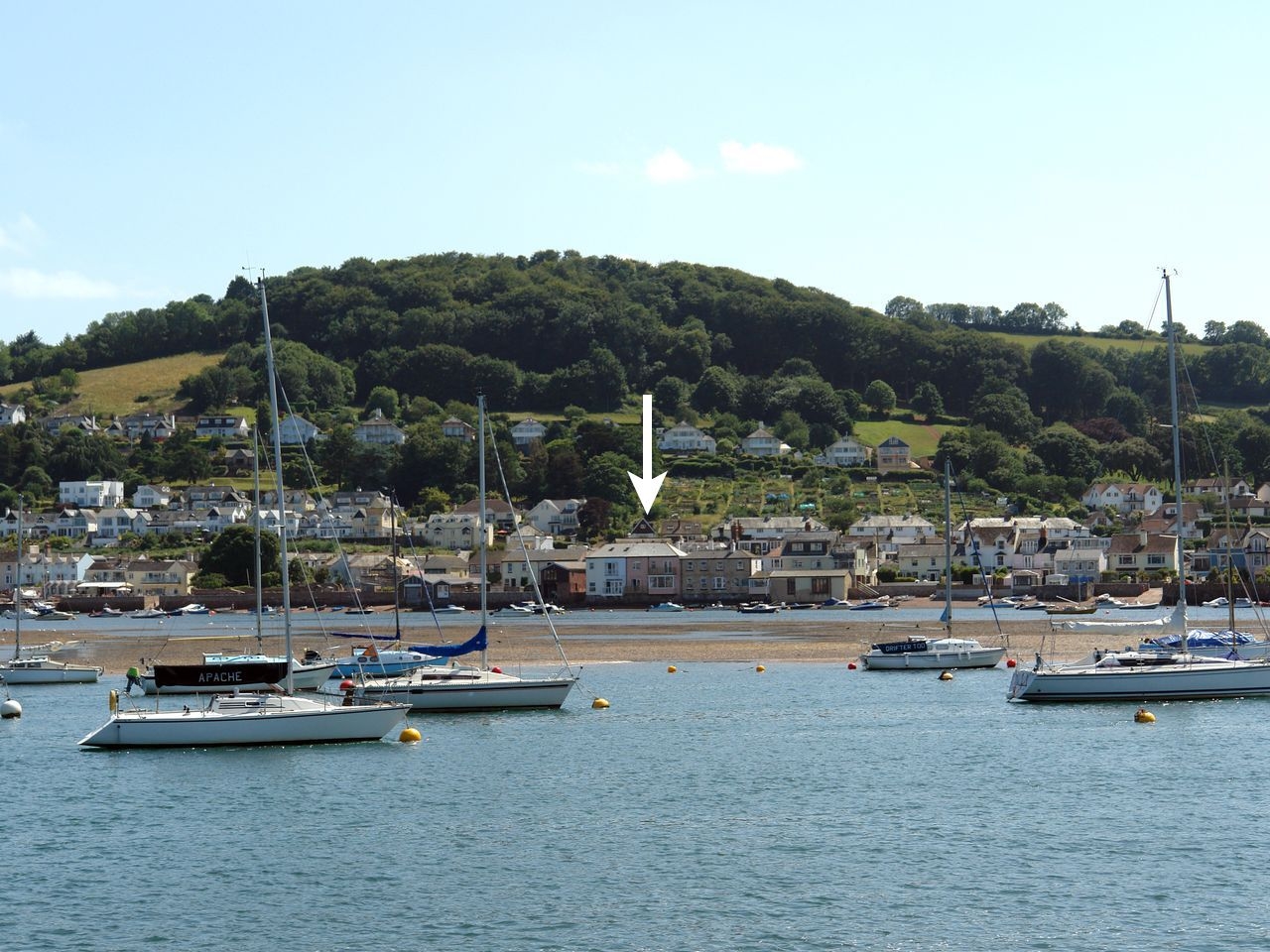 The Dolphins - Devon